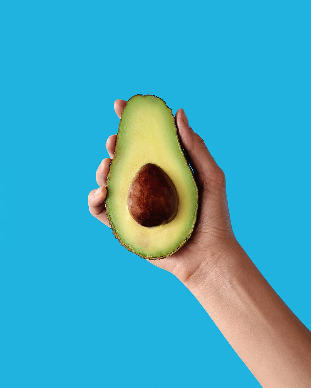 Avoscene - New Zealand Avocado