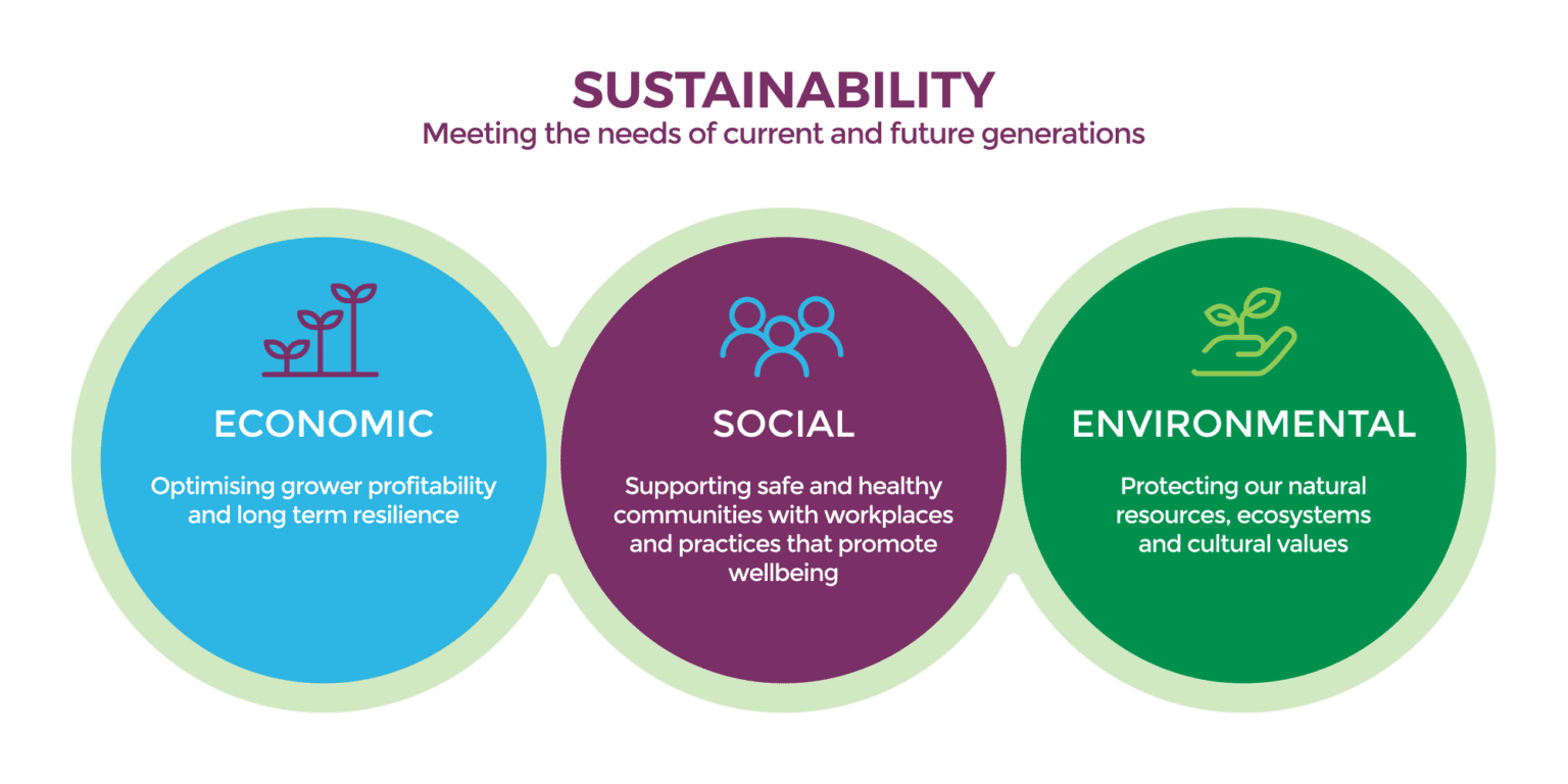 Sustainability - New Zealand Avocado